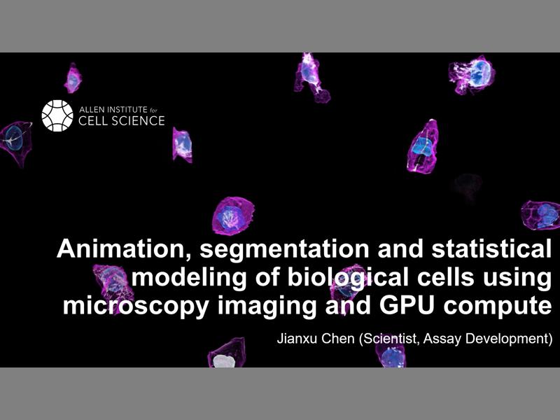 GTC 2020: Animation, Segmentation, and Statistical Modeling of ...